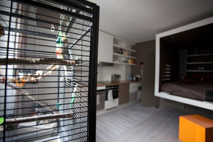 This 302-Square-Foot Apartment Feels Much Bigger Than It Actually Is ...