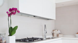 Hide Your Dishrack in the Cabinet With the Drip Dry - Living in a shoebox