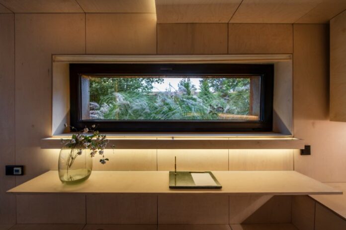 Dilapidated Garage Was Turned Into a Stunning 21 M2 Micro-Home - Living ...