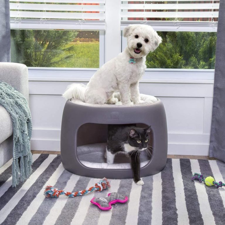 18 Amazing Pet Furniture Ideas That Are Perfect Solutions for Small ...