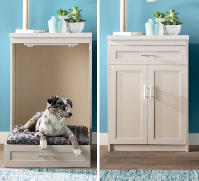 18 Amazing Pet Furniture Ideas That Are Perfect Solutions for Small ...