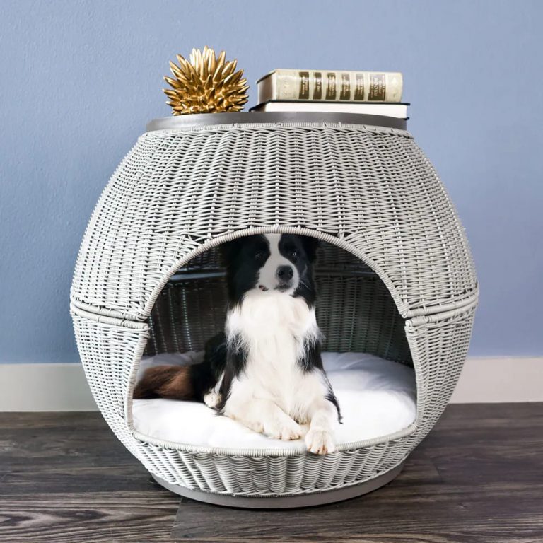 18 Amazing Pet Furniture Ideas That Are Perfect Solutions for Small ...