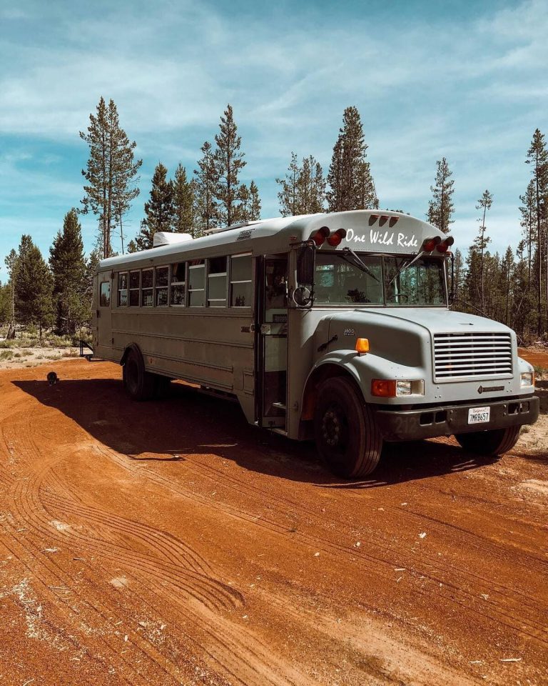 Couple Turns Old School Bus Into Beautiful Home With Help From YouTube ...