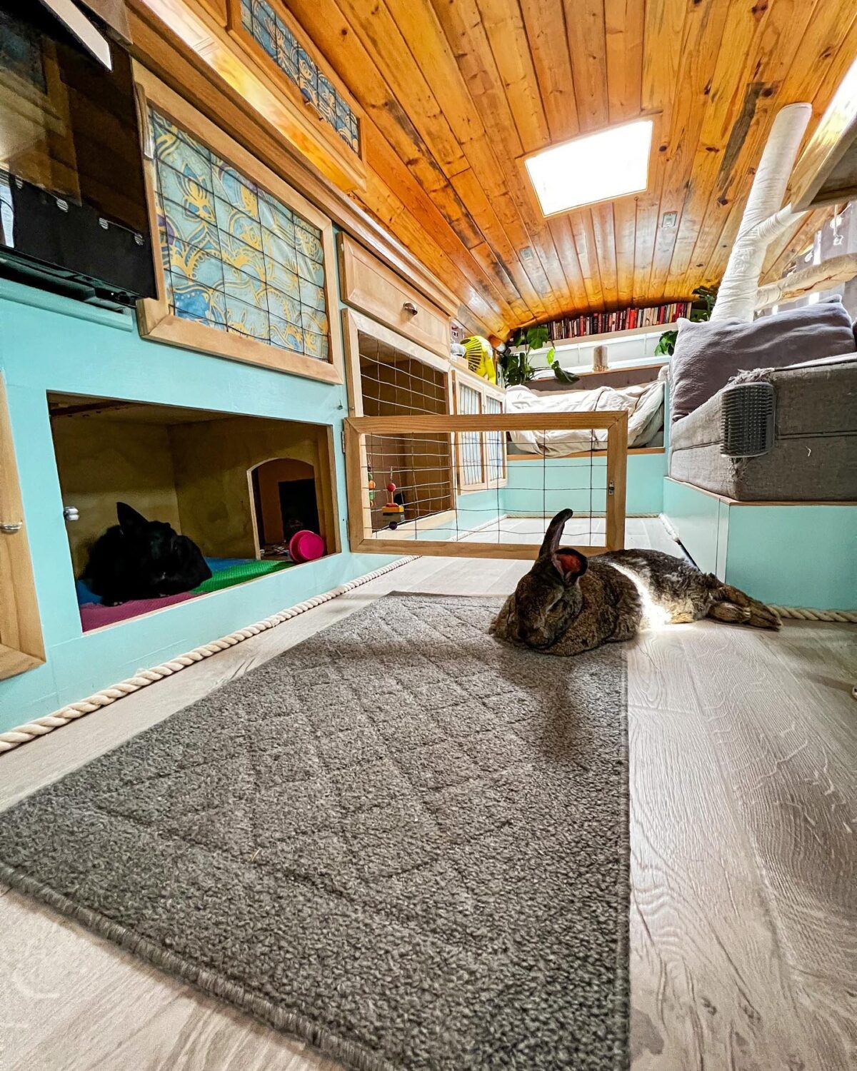 This Incredible Bus Conversion was built for 2 Bunnies, 2 Cats, 1 Dog ...