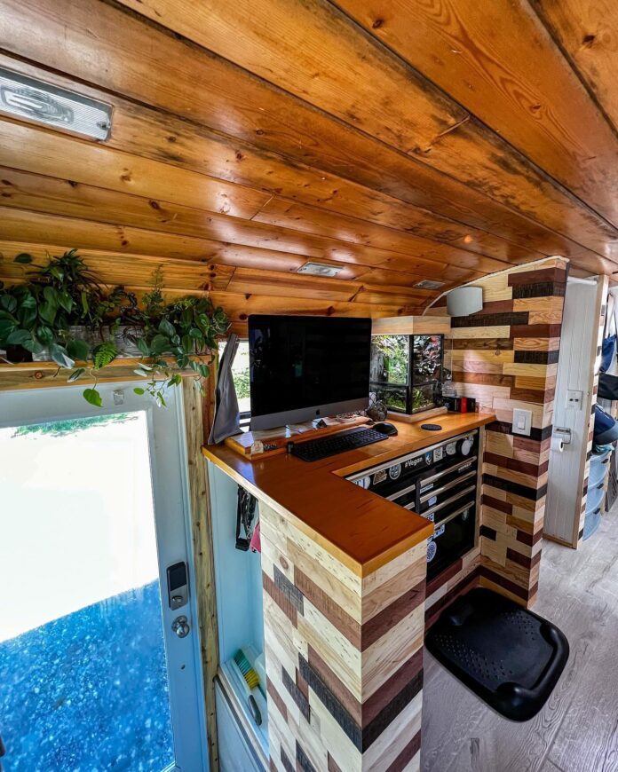 This Incredible Bus Conversion was built for 2 Bunnies, 2 Cats, 1 Dog ...