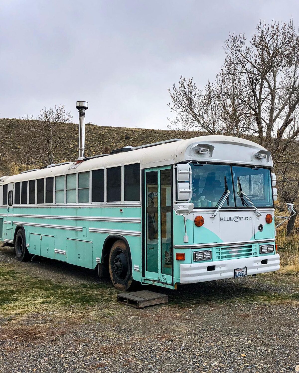 This Incredible Bus Conversion was built for 2 Bunnies, 2 Cats, 1 Dog ...