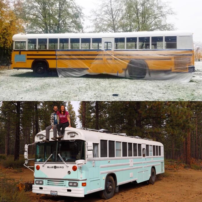 This Incredible Bus Conversion was built for 2 Bunnies, 2 Cats, 1 Dog ...