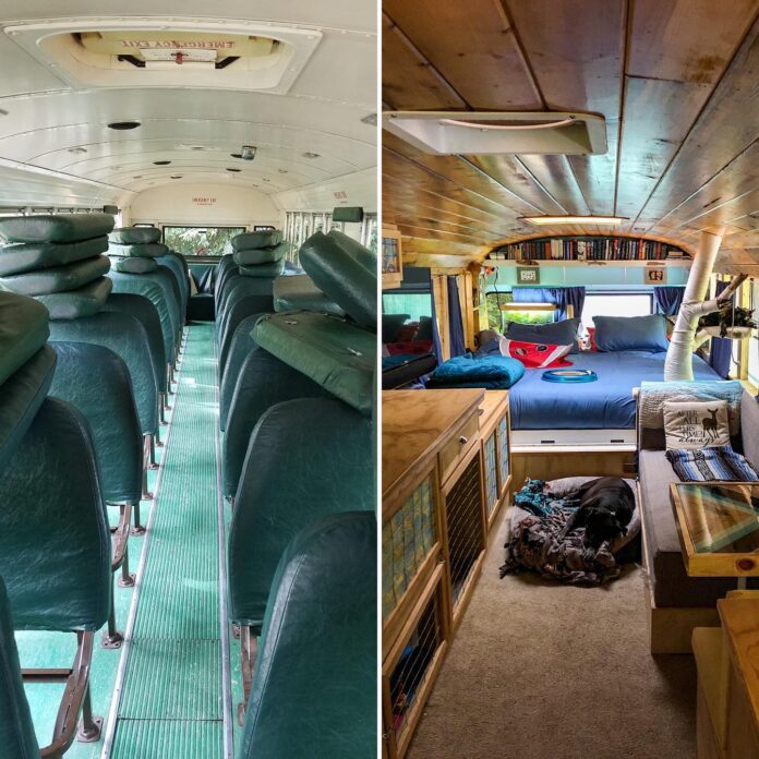This Incredible Bus Conversion was built for 2 Bunnies, 2 Cats, 1 Dog ...