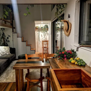 Single Mother Designs Future-Proof Tiny House for Herself and Her ...