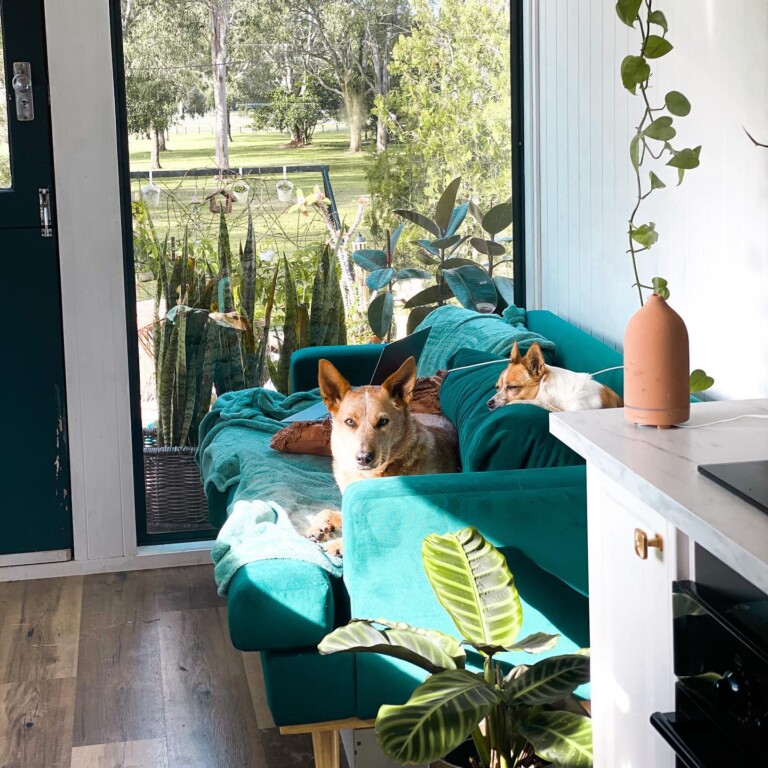 Two Women Build a Charming Tiny House with a Little Help from Their ...