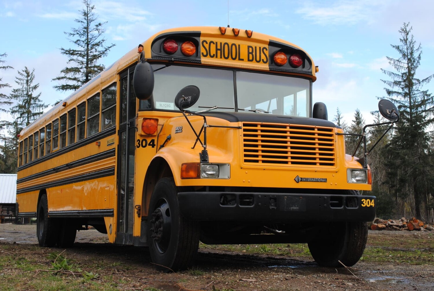 From Scraps to Sanctuary: How a Couple Turned a $7,200 School Bus Into ...