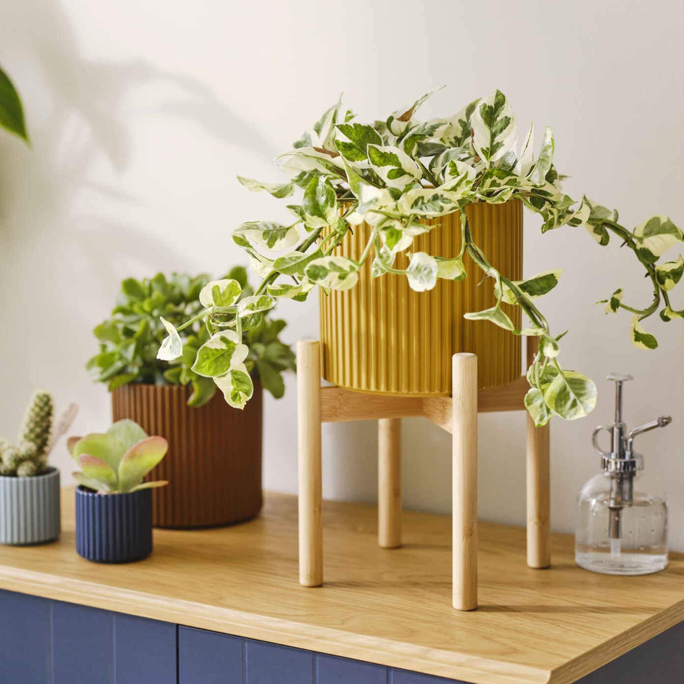 IKEA Unveils New Collection for Plant Lovers: Reinventing Indoor ...