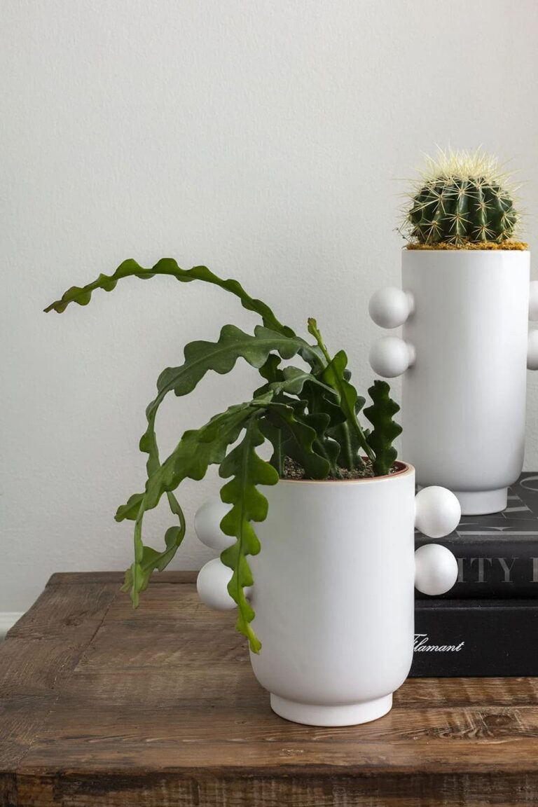 Give Your Favorite Plant a Fabulous Makeover With One of These 25 ...