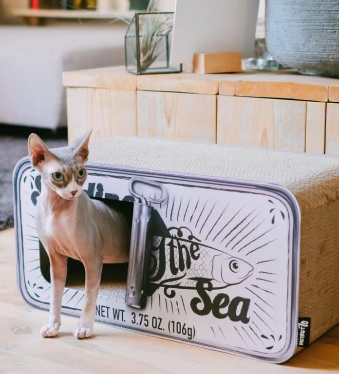 18 Amazing Pet Furniture Ideas That Are Perfect Solutions for Small ...