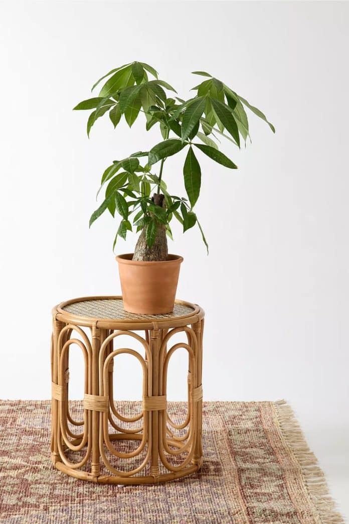 32 Standout Side Tables With Main Character Energy - Living in a shoebox